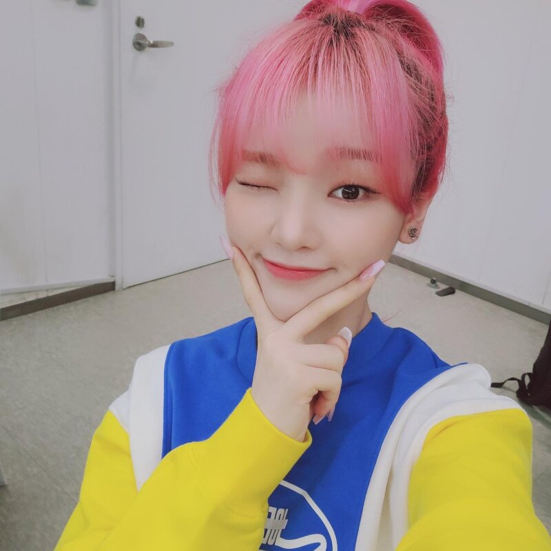 Selca: o que é + lista de fotos de idols para você copiar